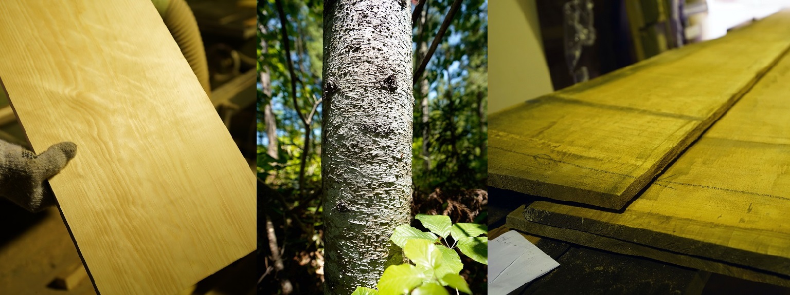 String Driver | String Driverについて